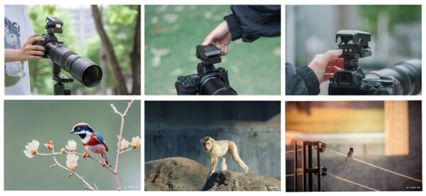 TTARTISAN DOT SIGHT (ประกันศูนย์) - Camera Maker